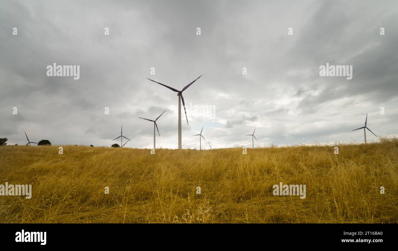 Wind turbines in agricultural land. Natural energy sources ...