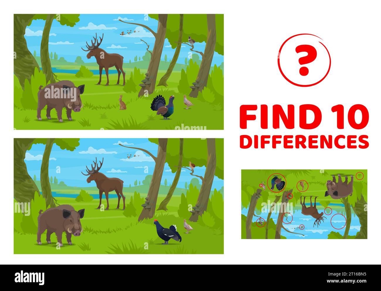 Find ten differences of cartoon forest animals, vector puzzle worksheet ...