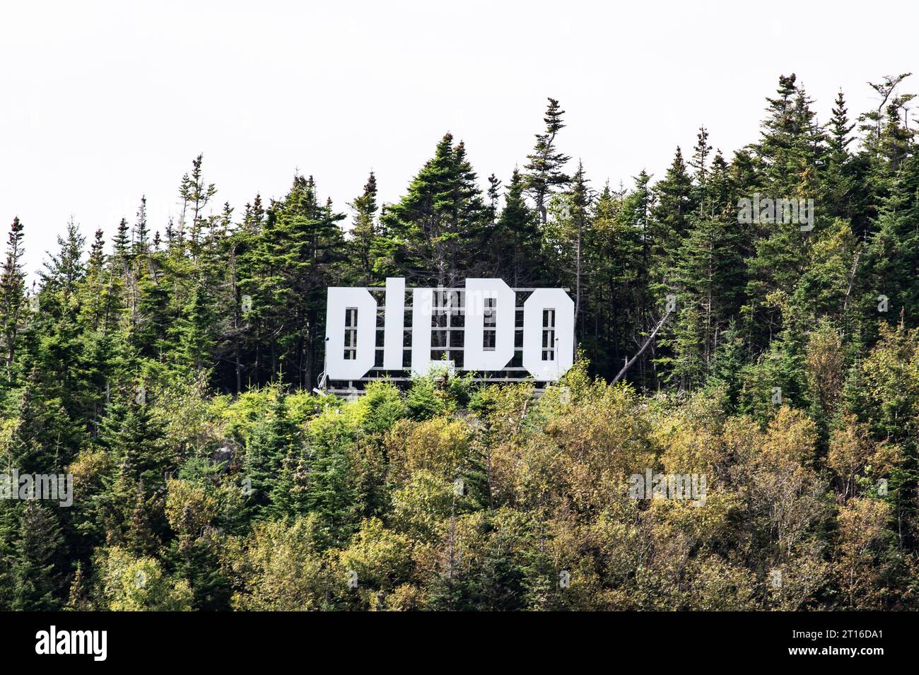 Hollywood style Dildo town sign prominently displayed in Newfoundland ...