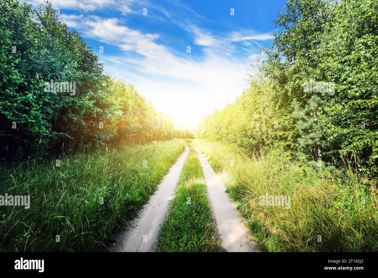 Rural road landscape. Summer sunrise trip background Stock Photo - Alamy