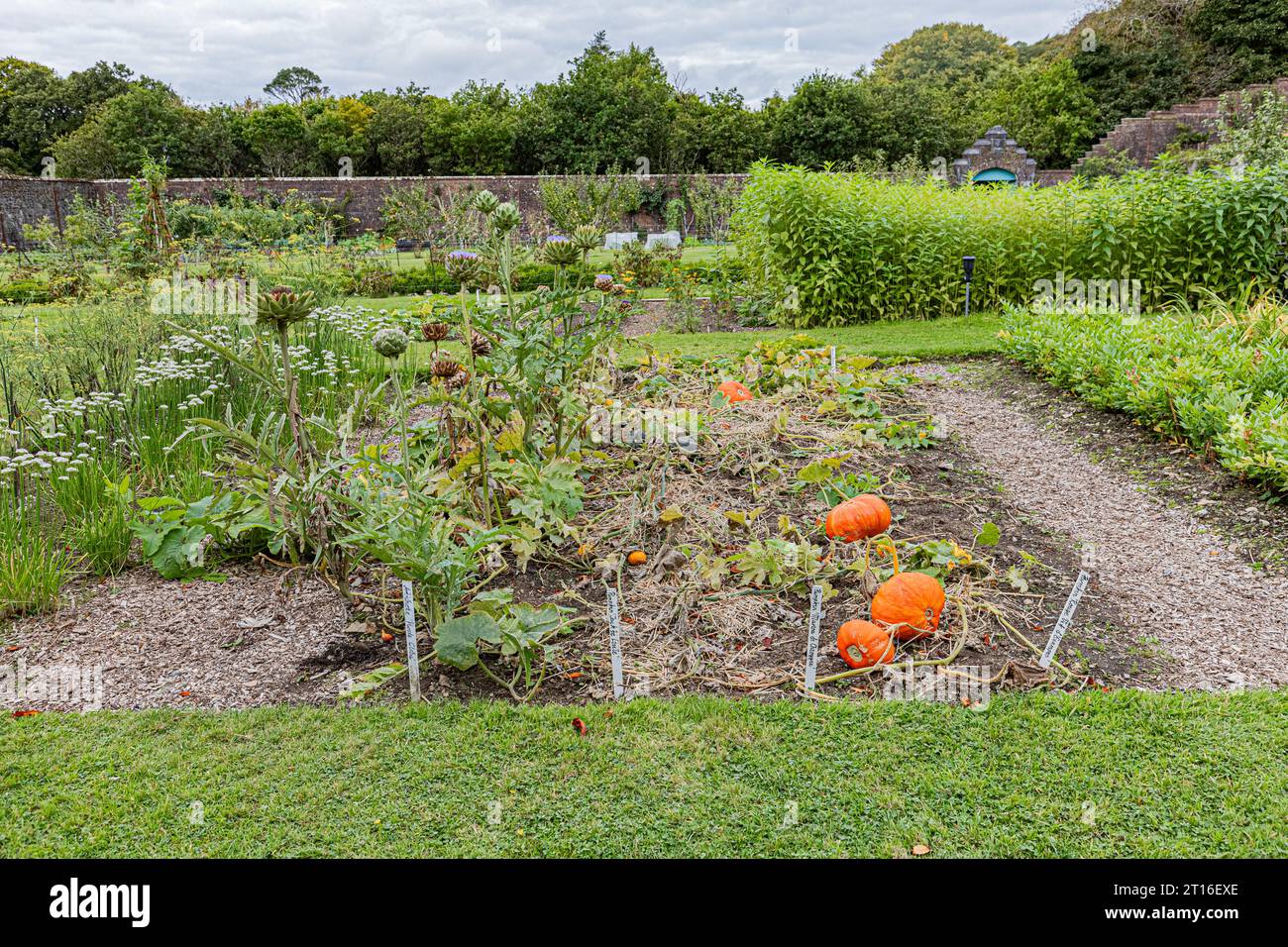 Abbaye de Kylemore dans le Connemara, son jardin victorien. Kylemore ...