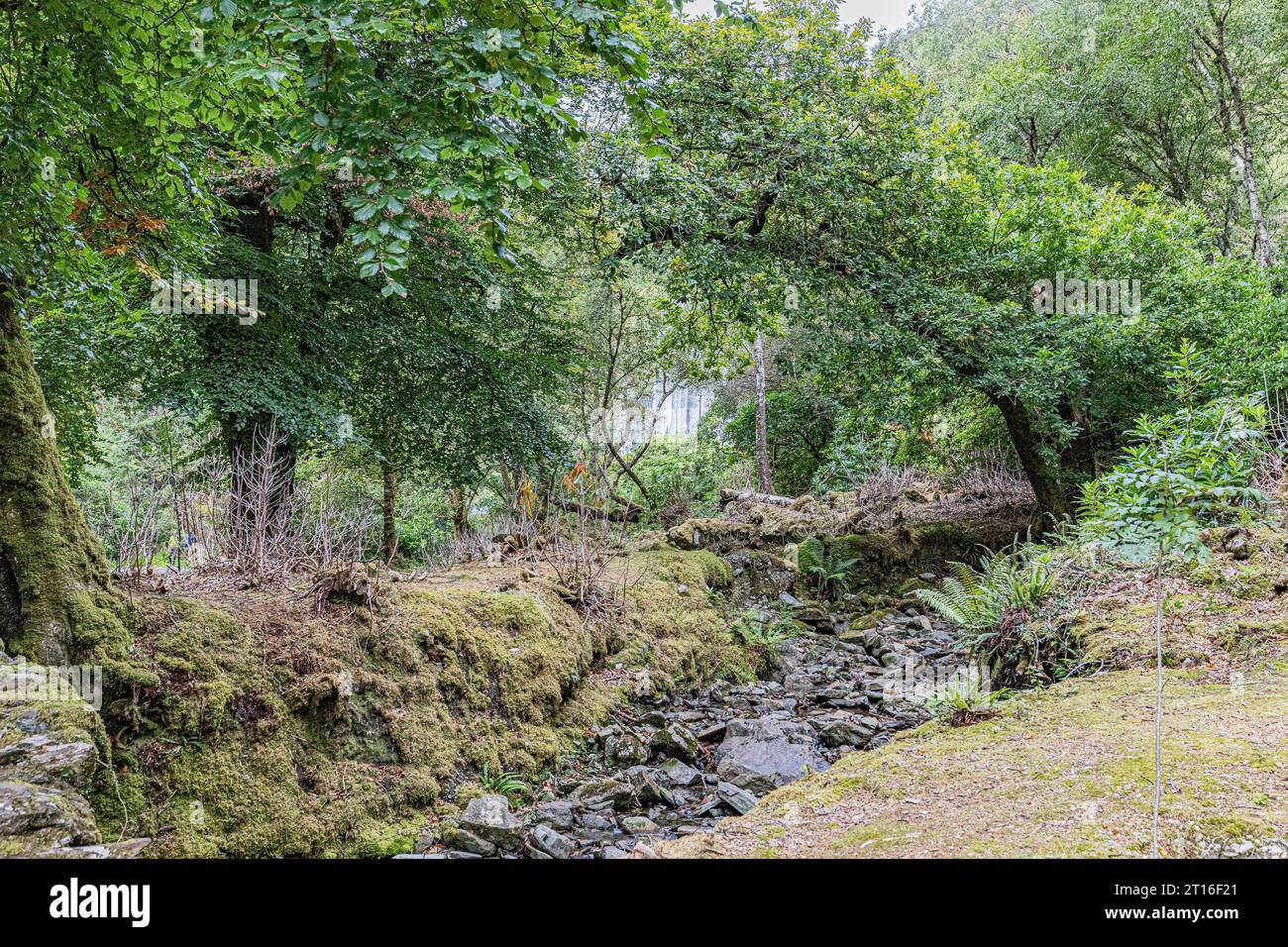 Abbaye de Kylemore dans le Connemara, église néogothique. Kylemore ...