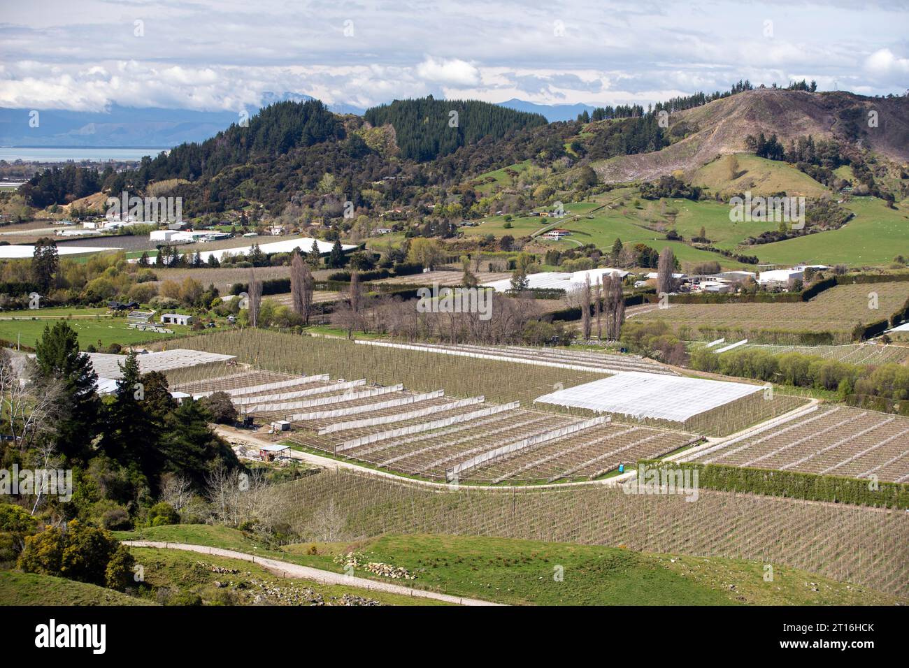 Riwaka new zealand hi-res stock photography and images - Alamy