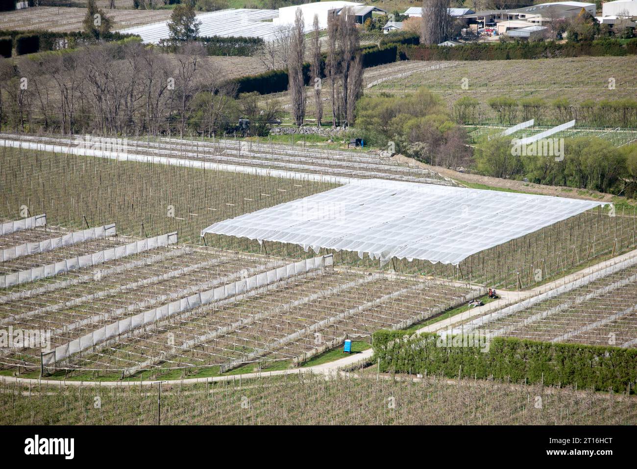 Picture by Tim Cuff. 26 September 2023. Riwaka, New Zealand Stock Photo ...
