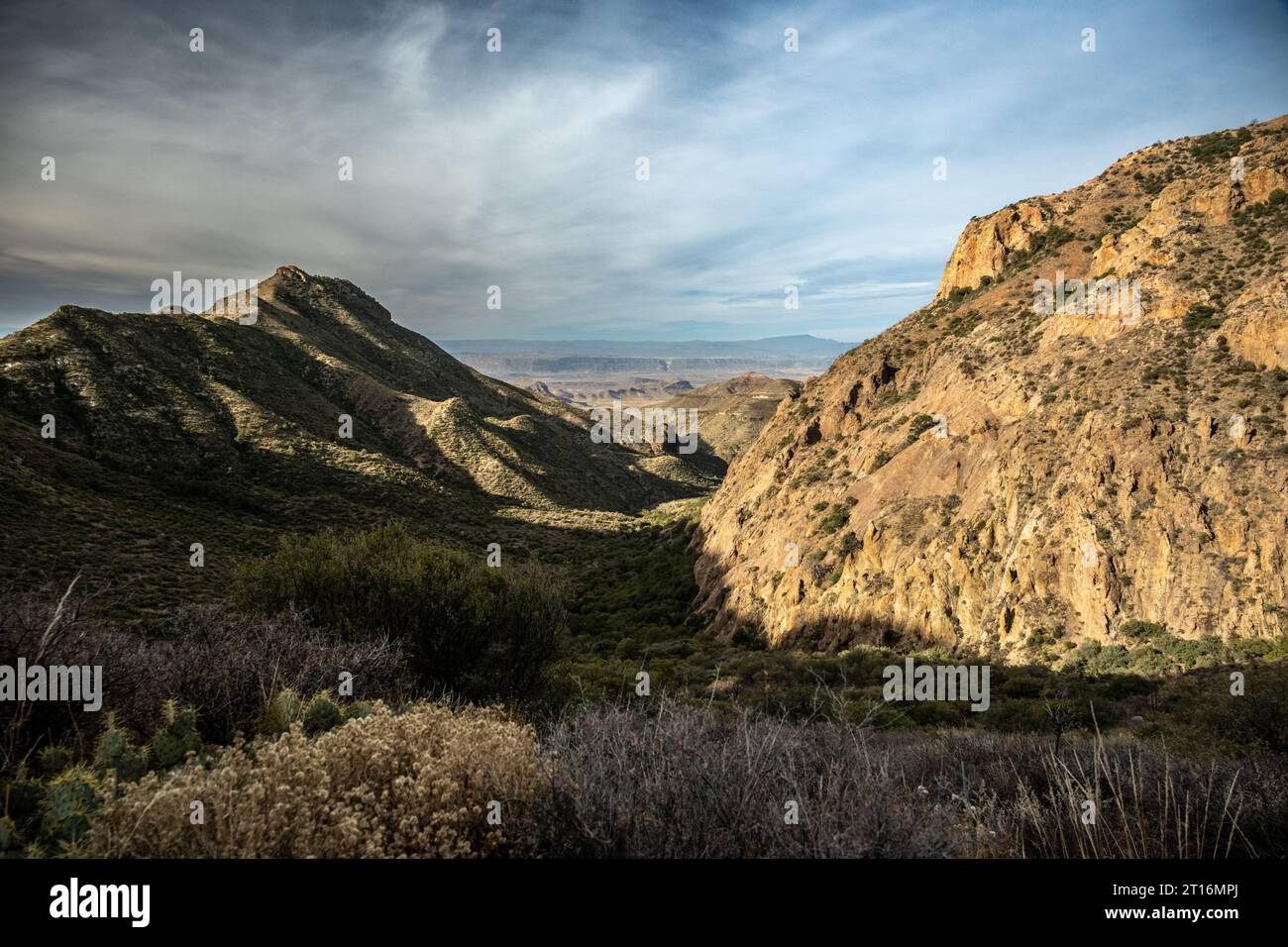 Valley of Juniper Canyon with Thin Clouds in Big Bend Stock Photo - Alamy
