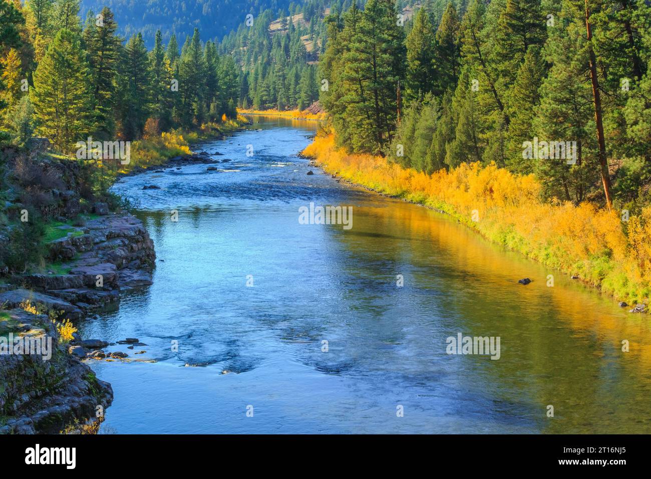 blackfoot river in fall near potomac, montana Stock Photo - Alamy