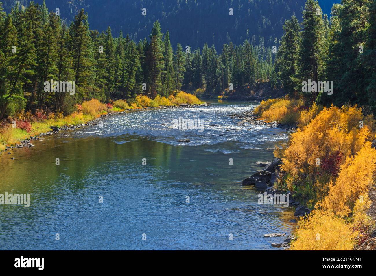 Mt d9733 hi-res stock photography and images - Alamy