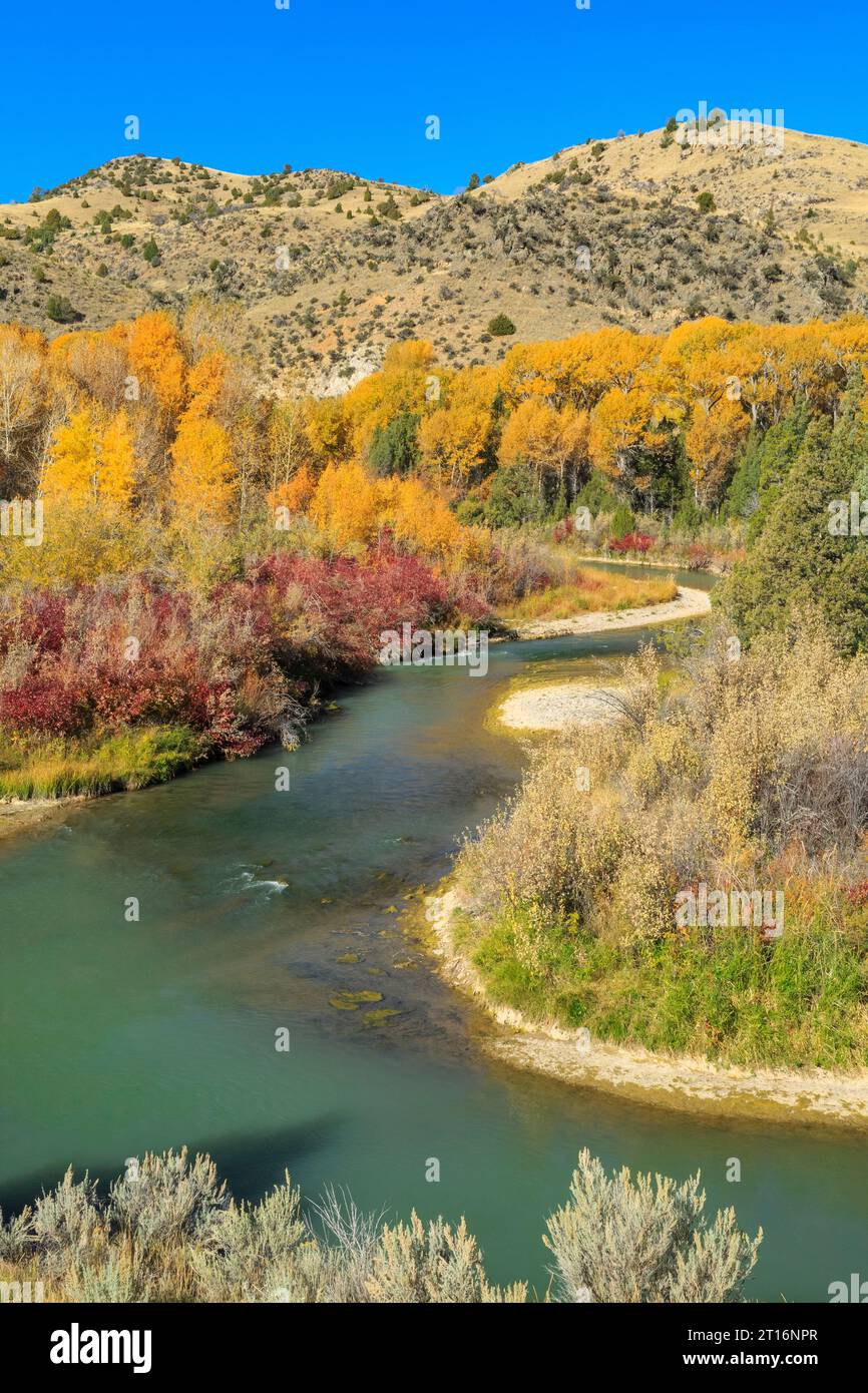 fall colors along the ruby river near alder, montana Stock Photo - Alamy