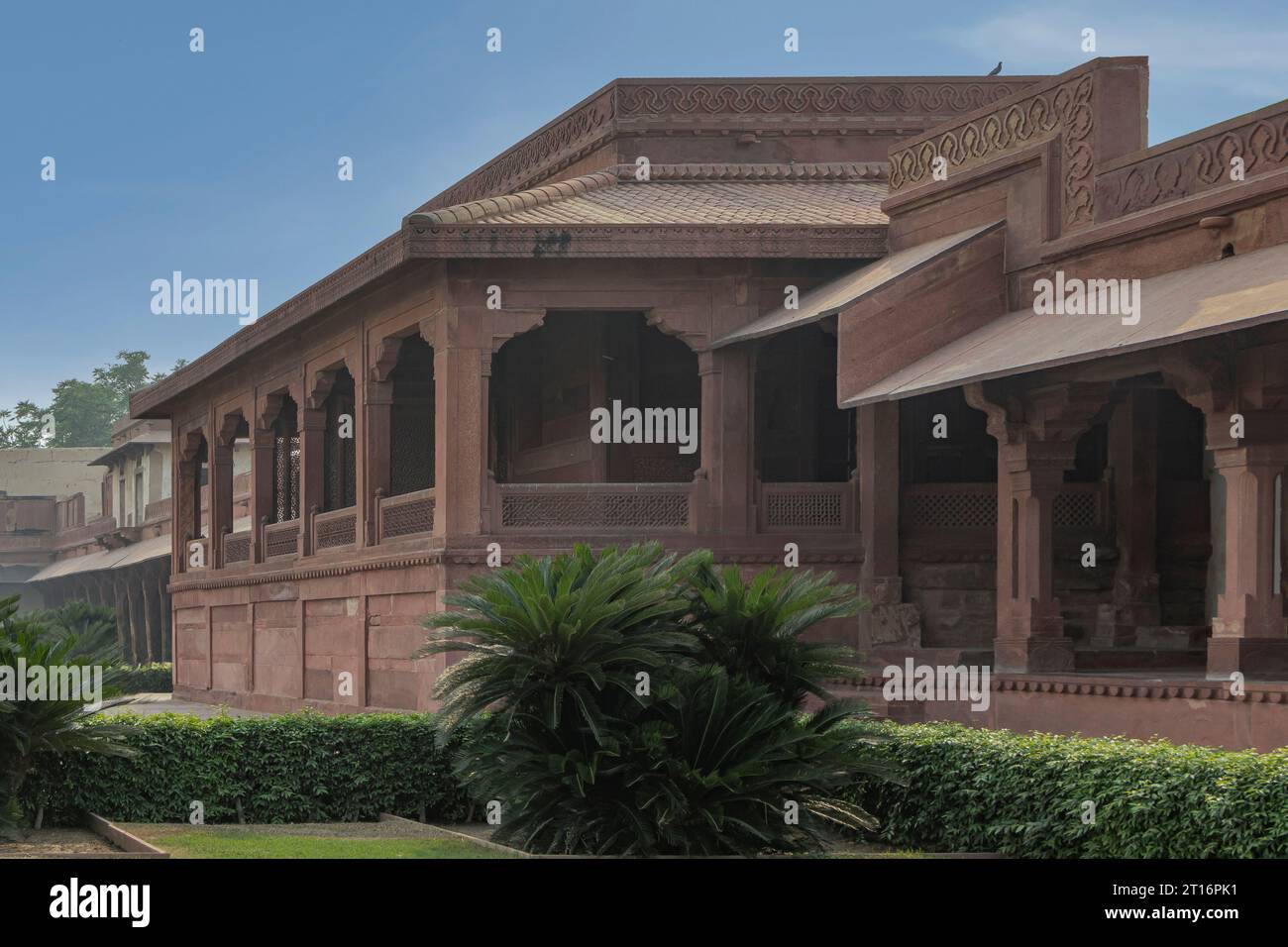 Palms unique structure hi-res stock photography and images - Alamy