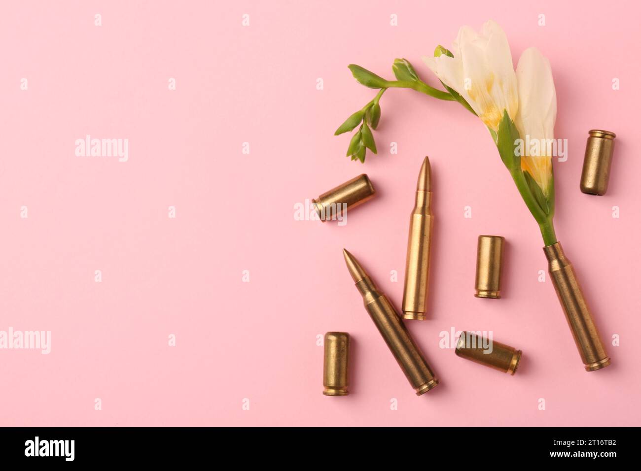 Bullets and cartridge cases with beautiful flower on pink background ...