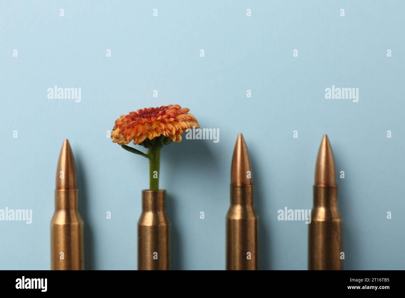 Bullets and cartridge case with beautiful flower on light blue ...
