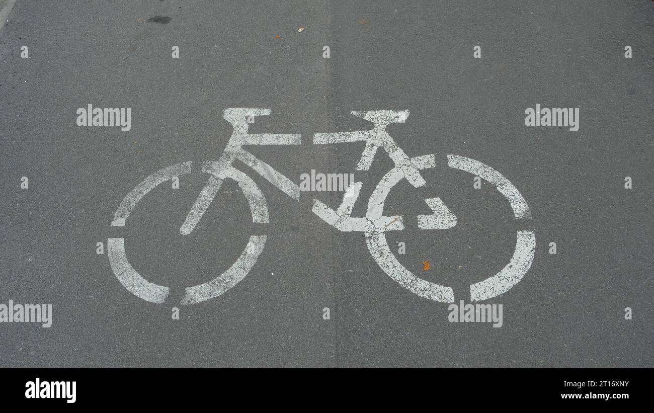 Bicycle lane sign on asphalt surface. Grey road and white painted sign ...