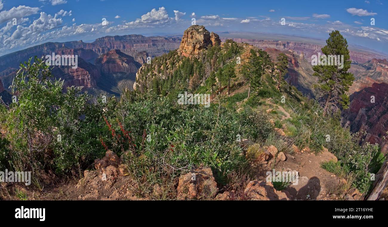 The summit of Tritle Peak off of Roosevelt Point on Grand Canyon North ...