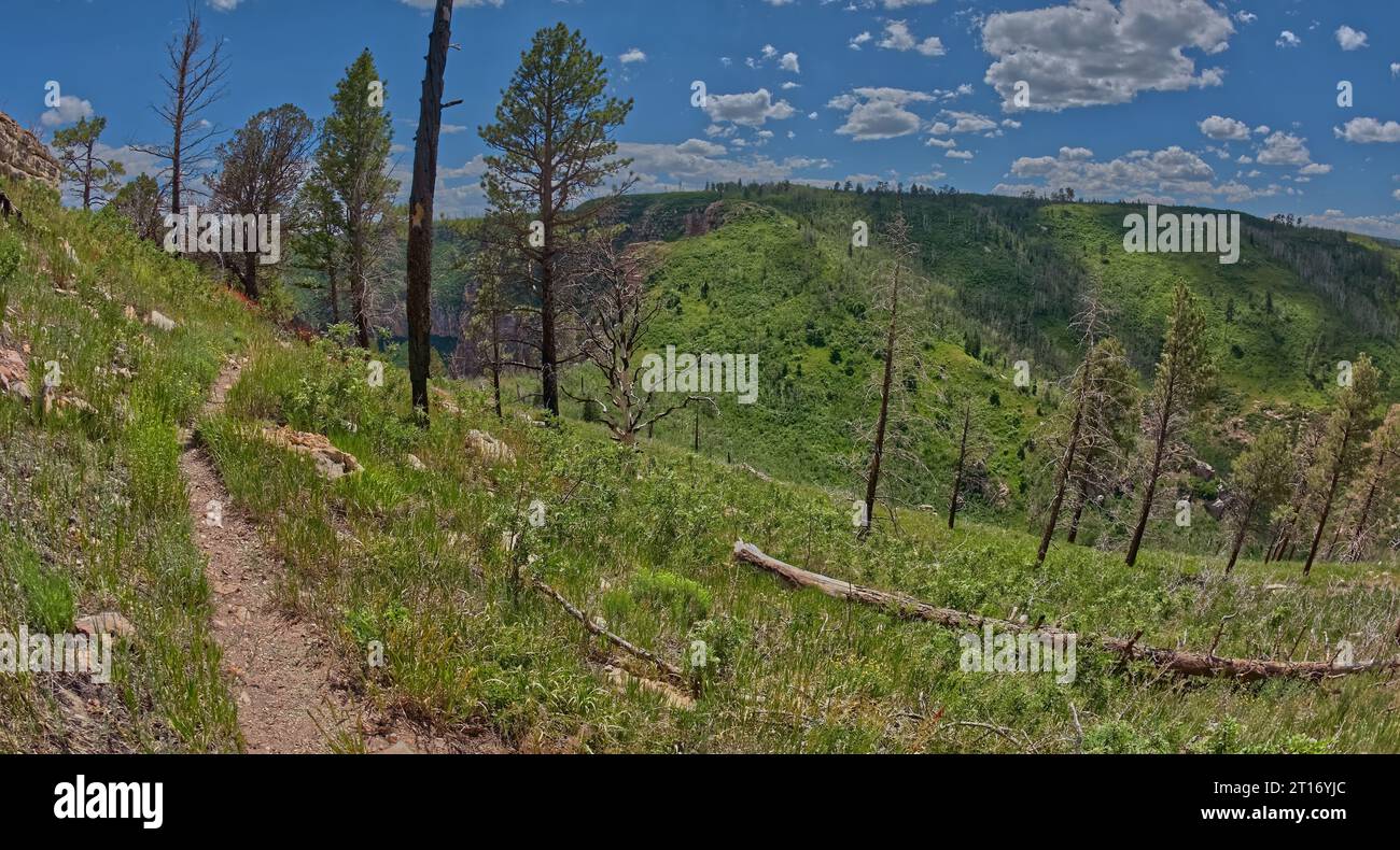The Nankoweap Trail through the Saddle Mountain Wilderness just outside Grand Canyon National ...