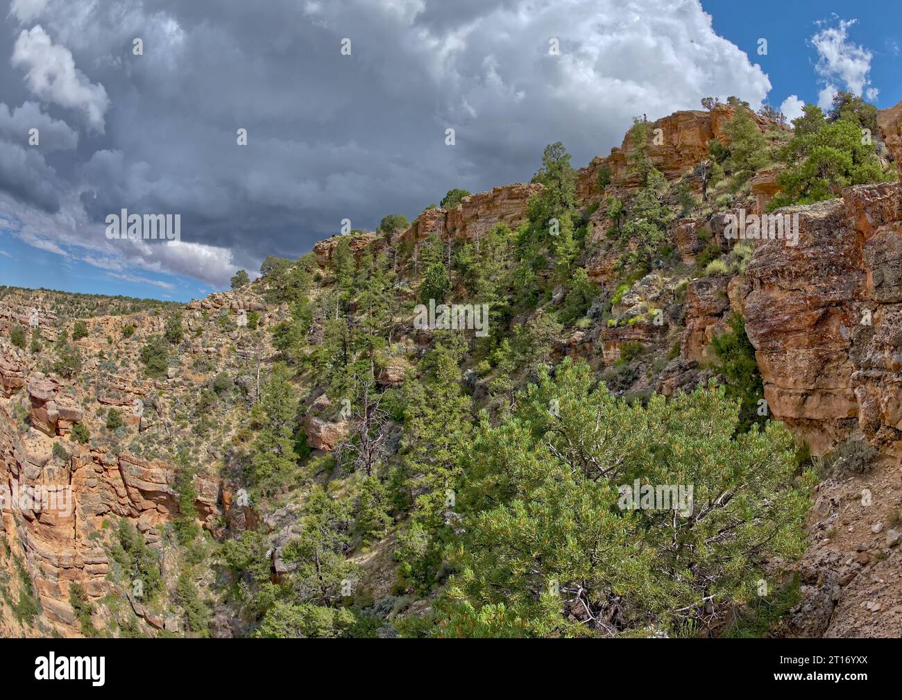 View of Navajo Point from below its cliffs at Grand Canyon South Rim ...
