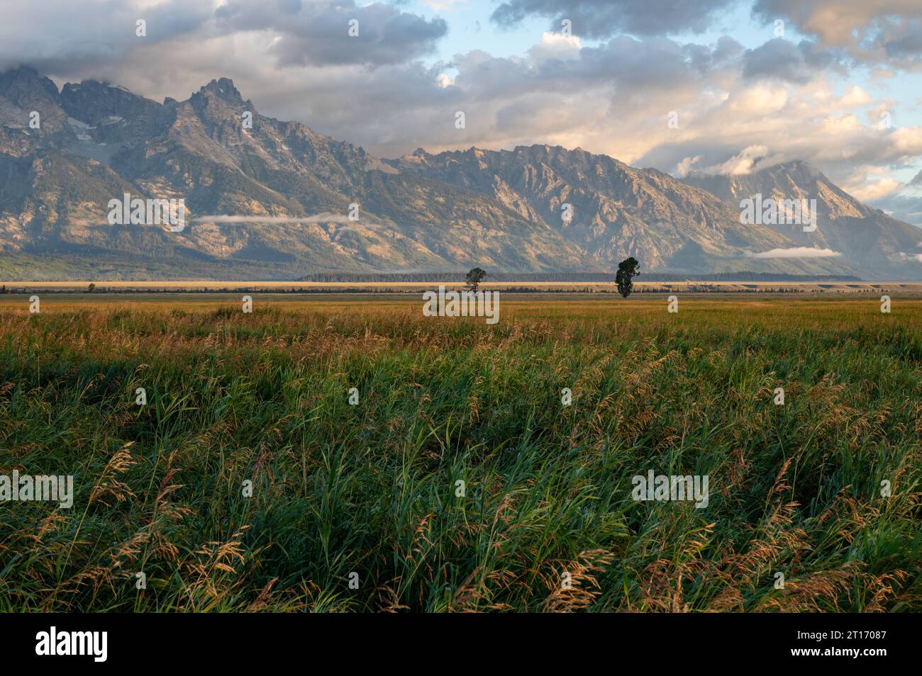 Hanging Clouds and Lone Trees on the grassy plains at the base of the ...