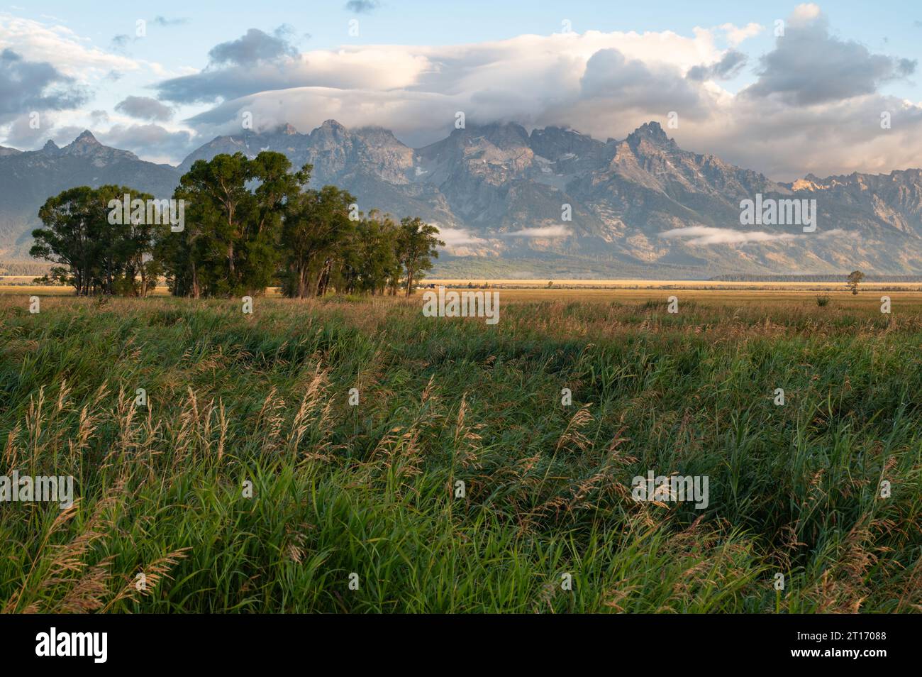 Hanging Clouds and Lone Trees on the grassy plains at the base of the ...