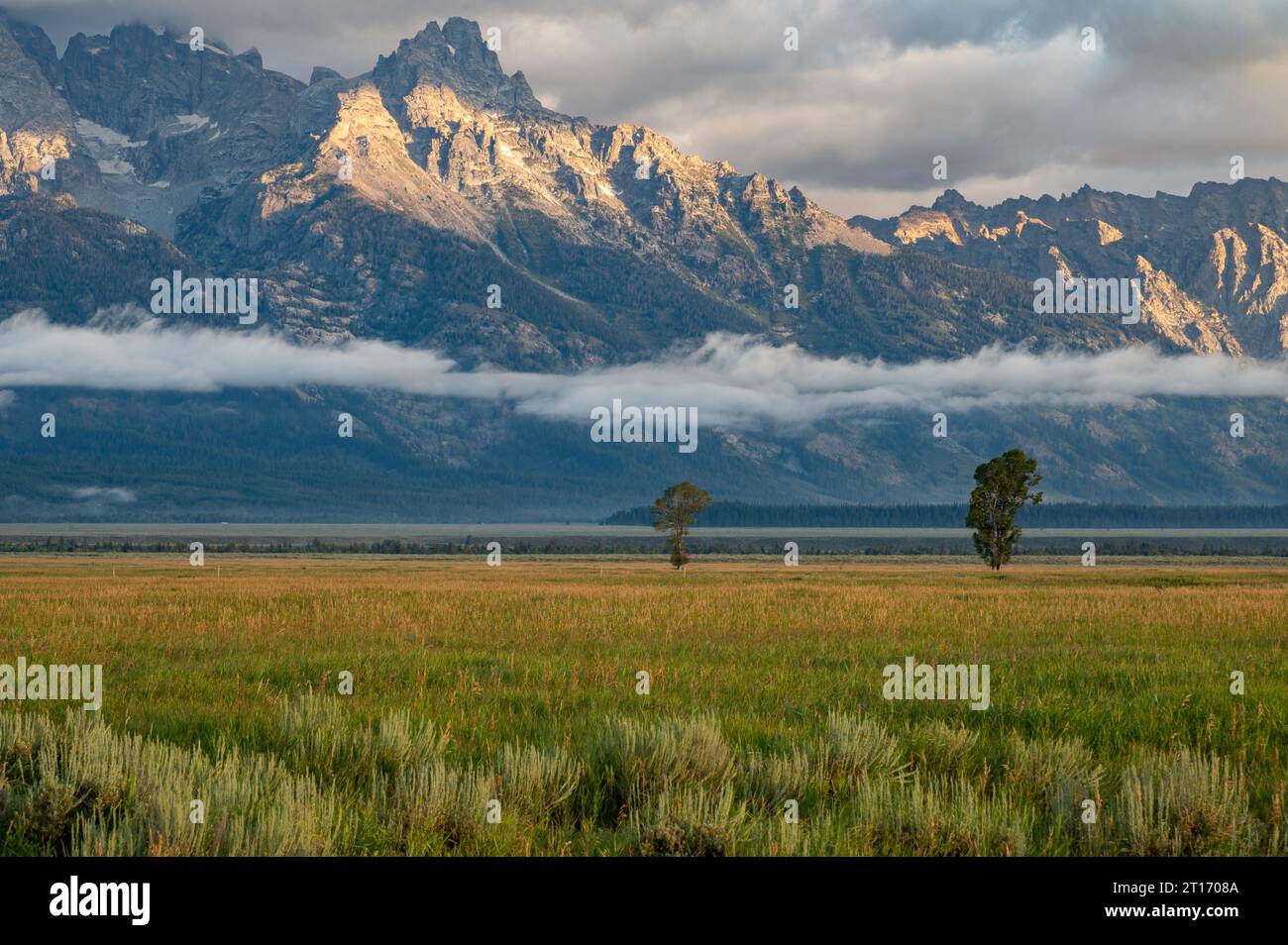Hanging Clouds and Lone Trees on the grassy plains at the base of the ...