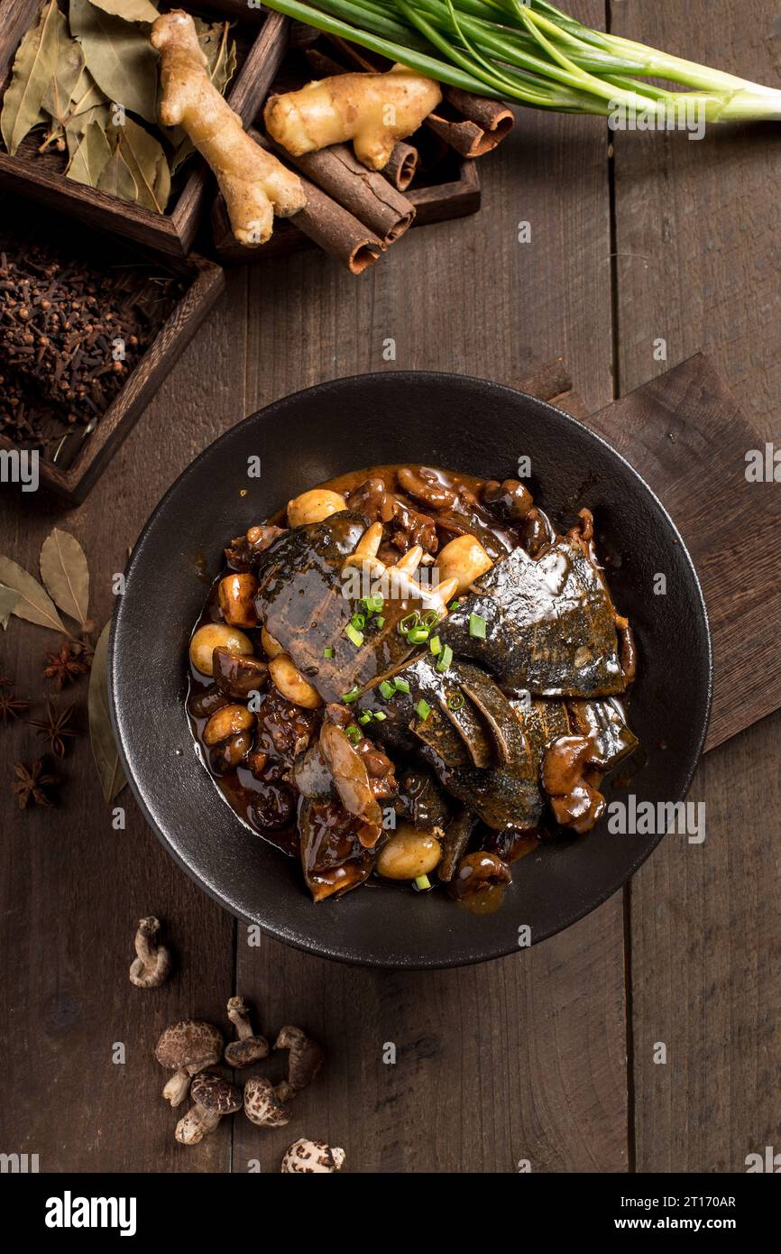 Braised Turtle in Brown Sauce Stock Photo - Alamy
