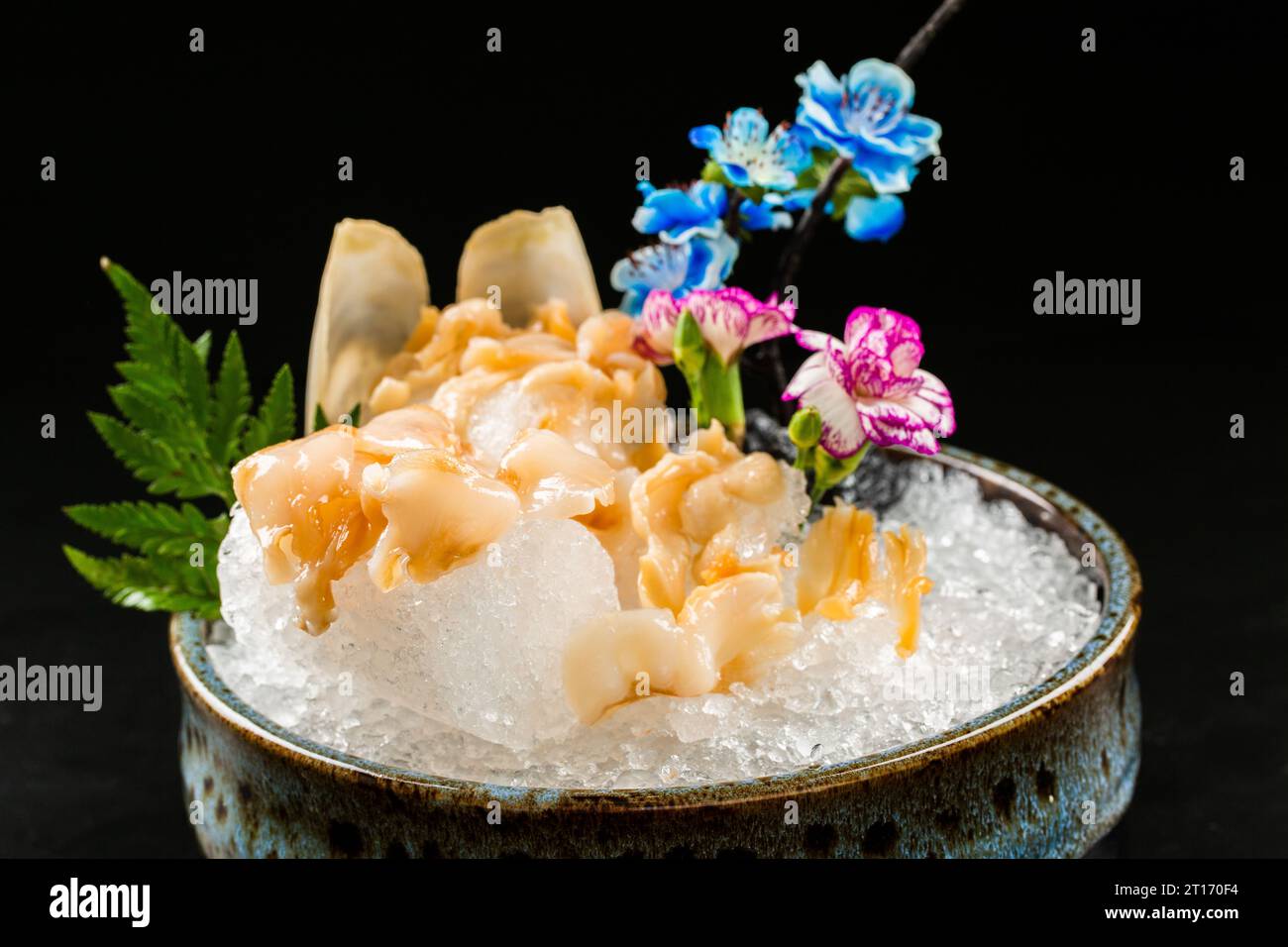 Geoduck geoduck hi-res stock photography and images - Alamy