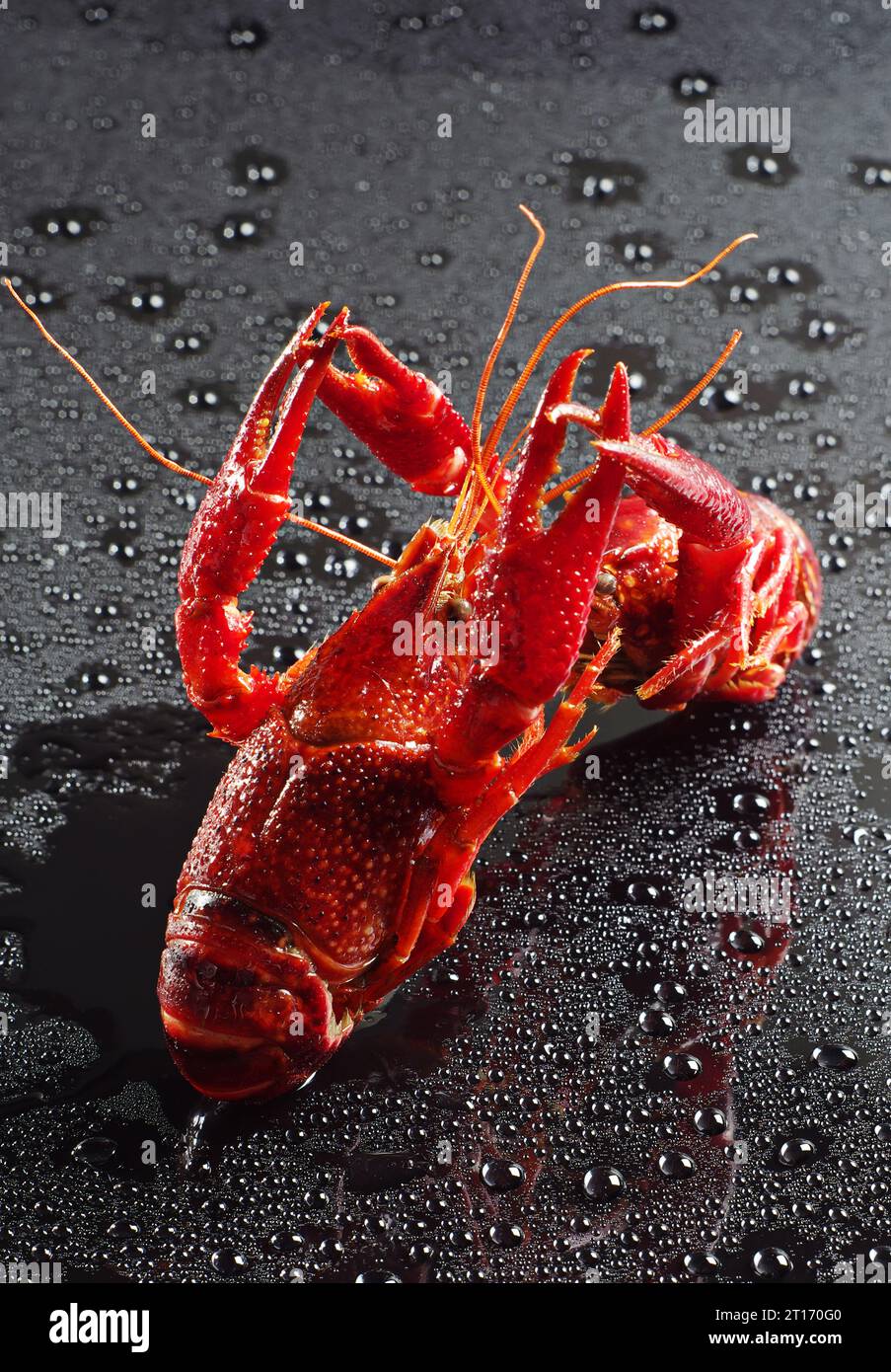 thirteen-spices crawfish，Asian Chinese Food Spicy Crayfish Stock Photo ...