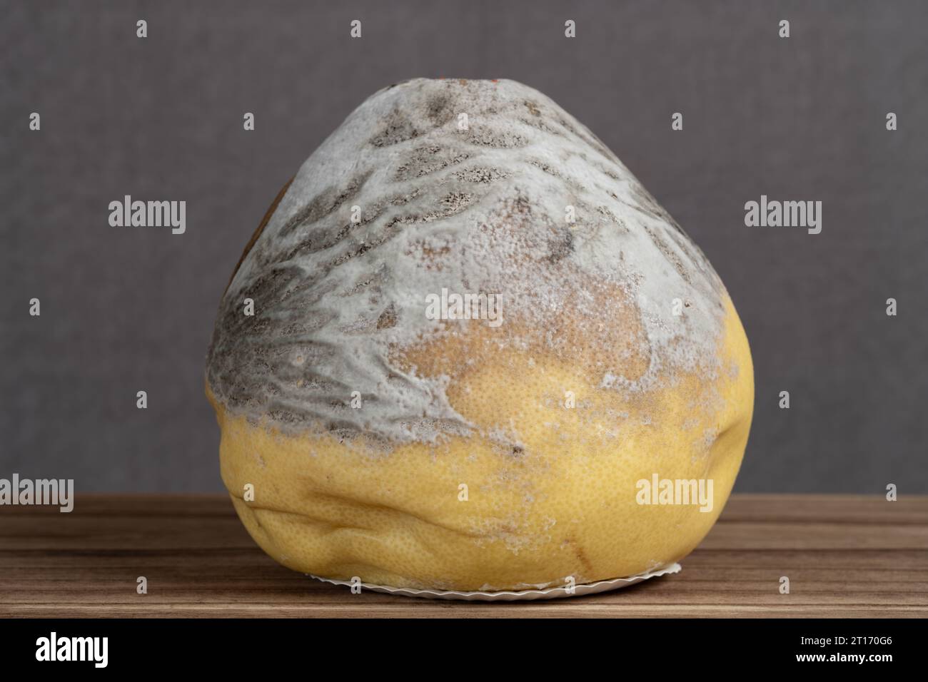 side view badly rotten and moldy pomelo Stock Photo - Alamy