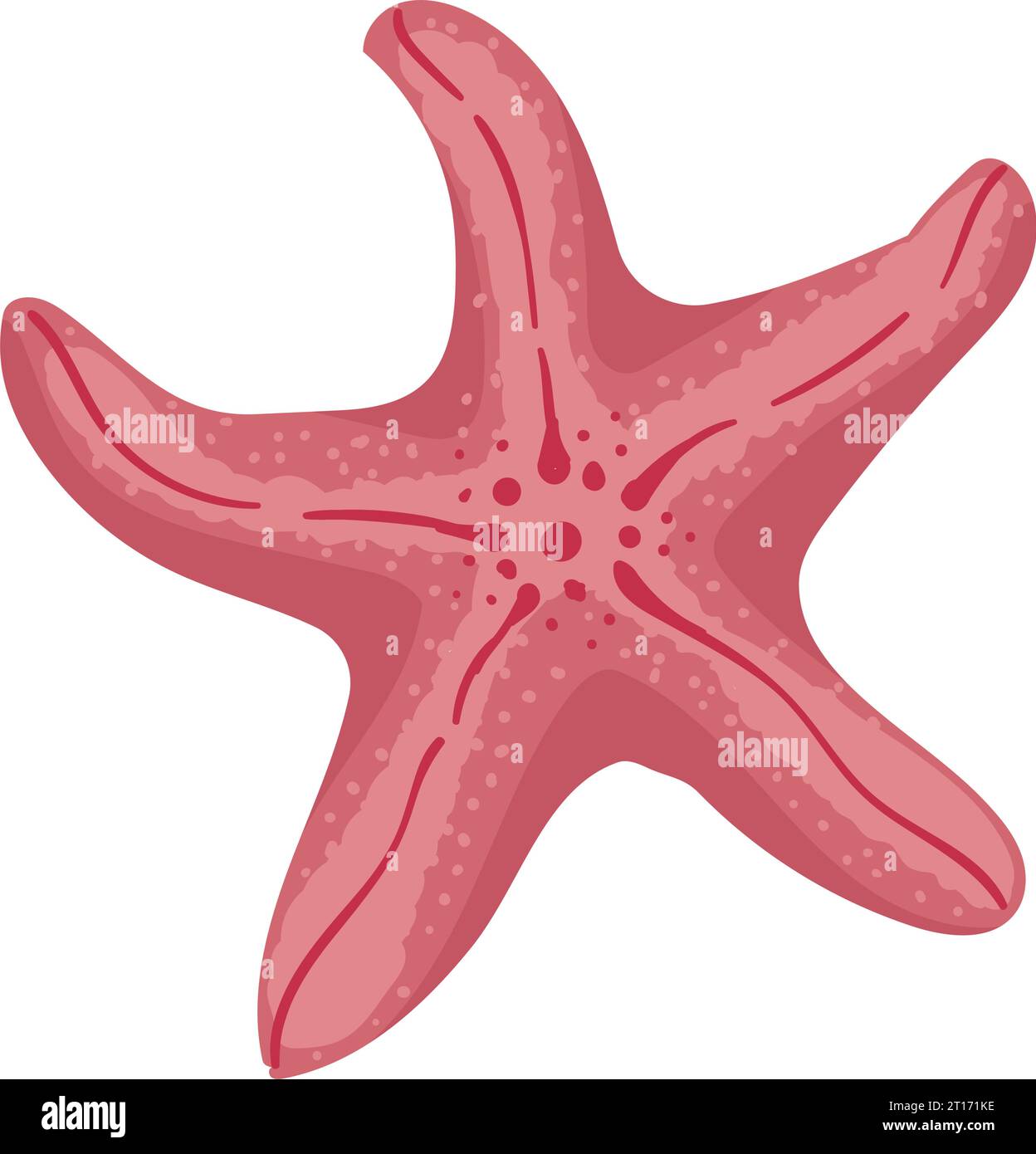 pink starfish sea life illustration Stock Vector Image & Art - Alamy
