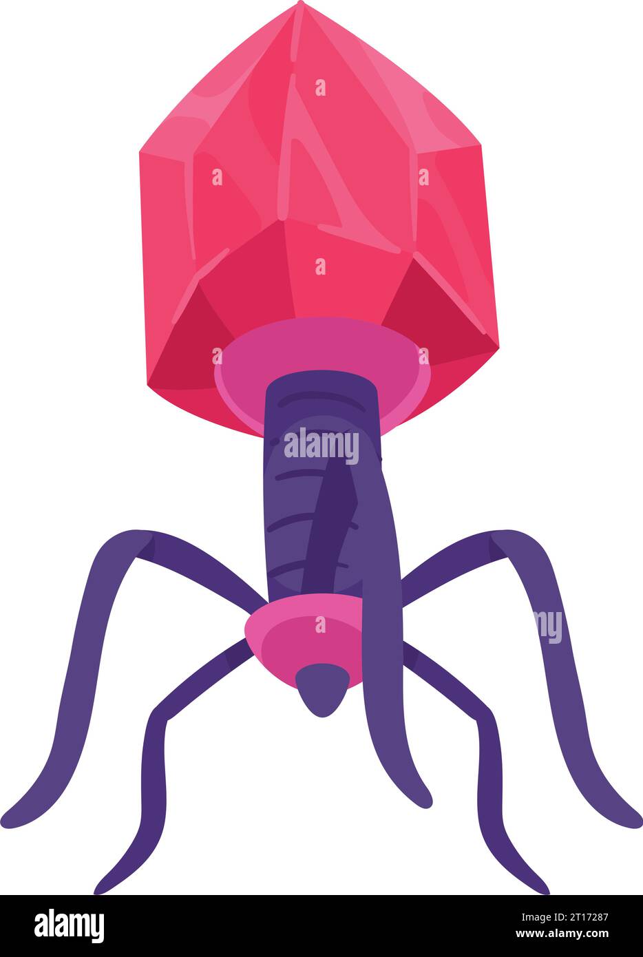 virus nipah pathology Stock Vector Image & Art - Alamy