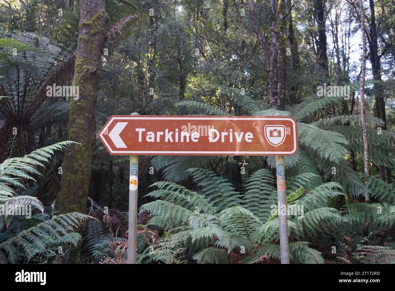 Road sign, directional sign indicating the Tarkine Drive, a tourist ...