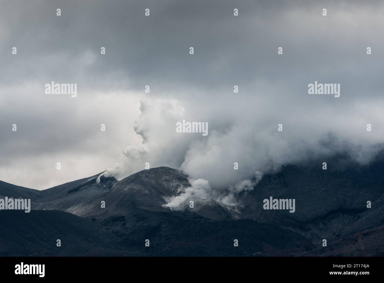 Volcanic steam venting from fumaroles on the northern side of Mount ...