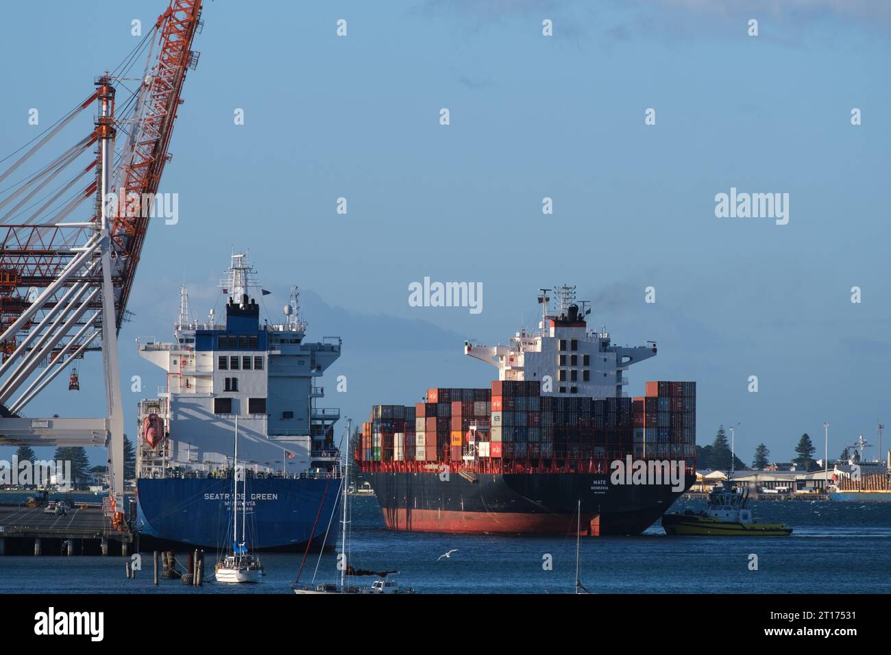 Container ship berthing with a tug boat at the Tauranga port Stock ...