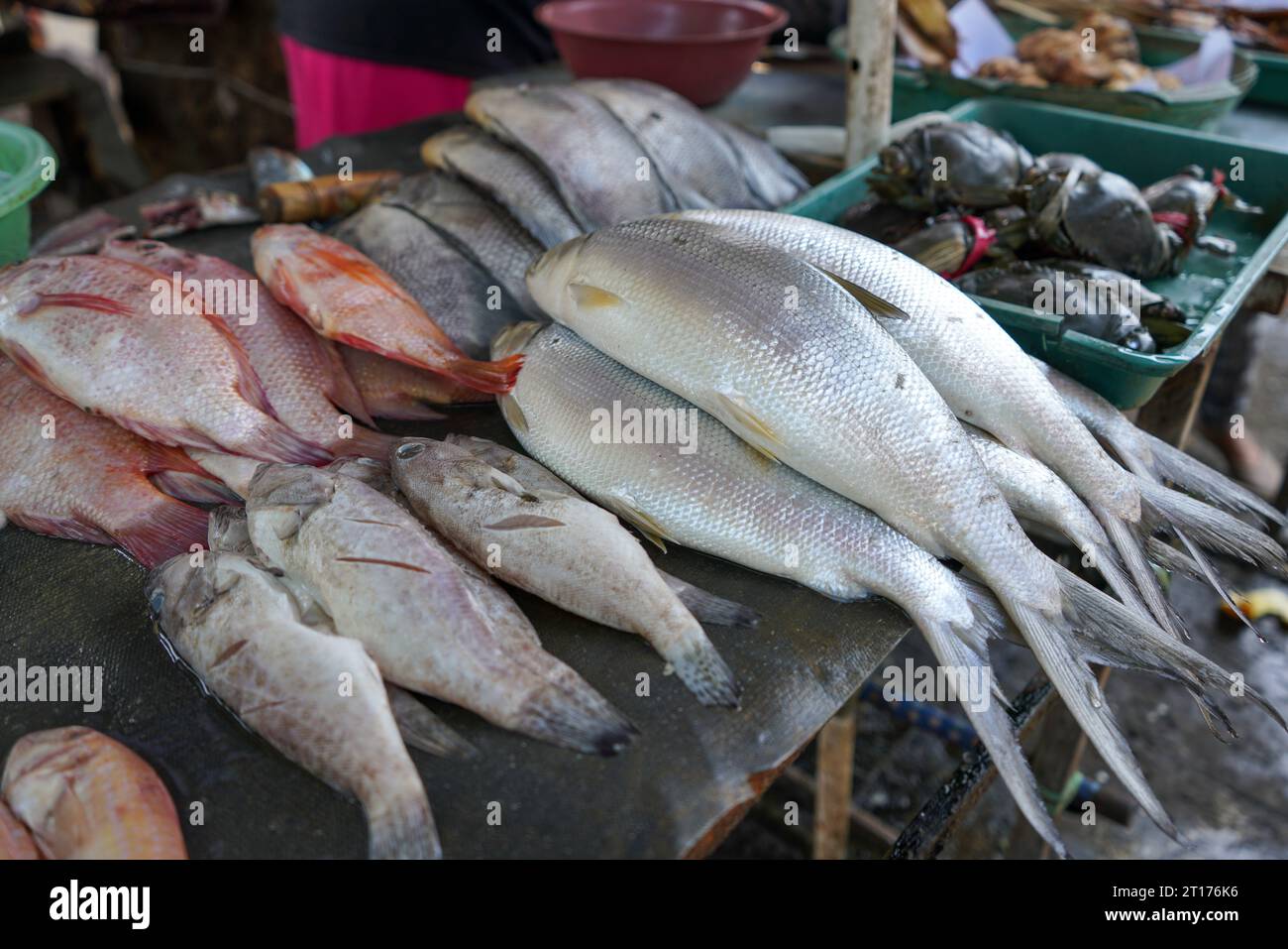 Freshwater fish are sold in the market. One example is milkfish and ...