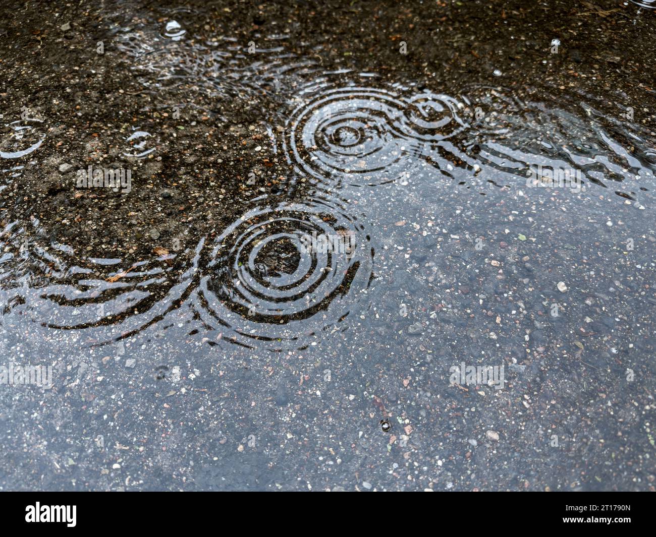 water puddle background with sky reflection and raindrops rippling ...