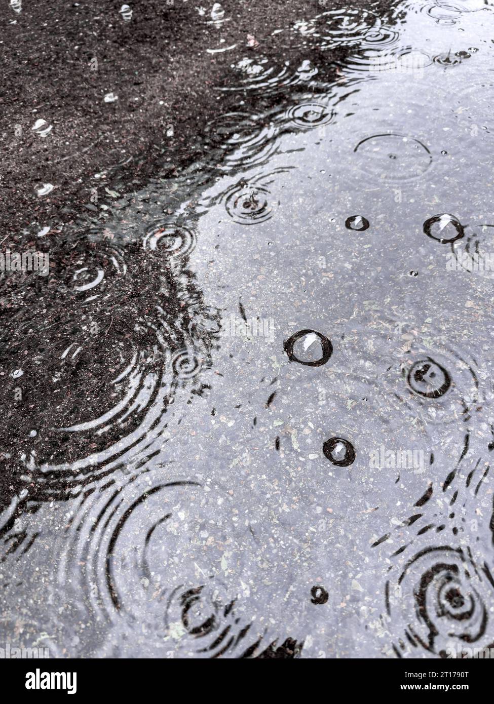 raindrops and bubbles in a puddle on pavement. bad weather in the city ...