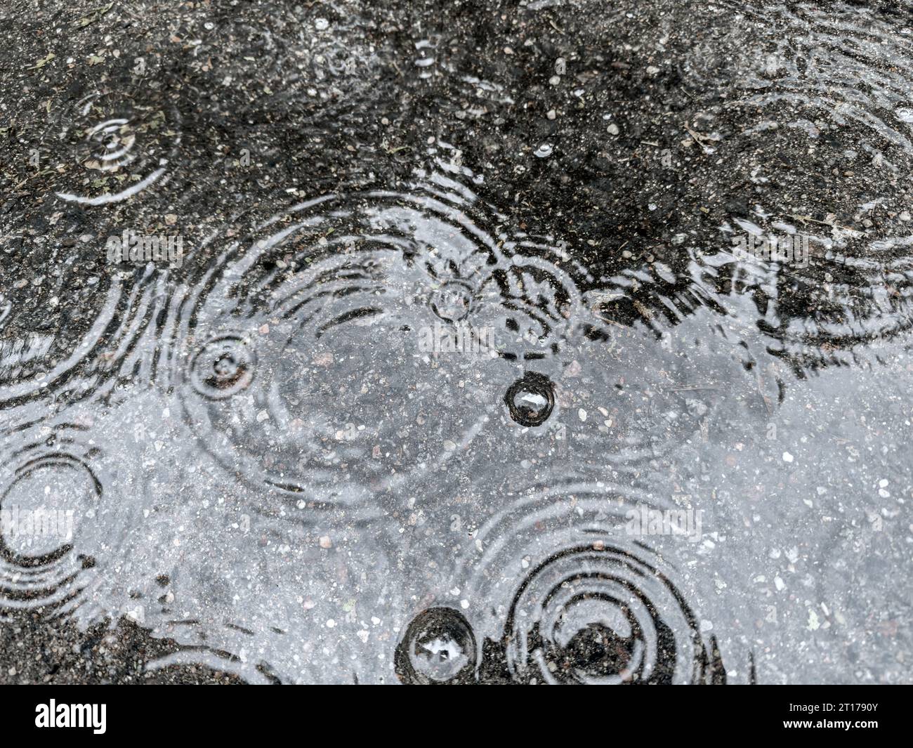 circles and bubbles on the puddle surface from the summer rain Stock ...