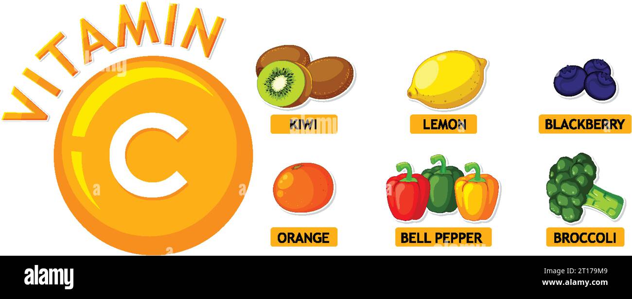 Illustrated Vector Image Of Vitamin C Rich Fruits And Vegetables Stock