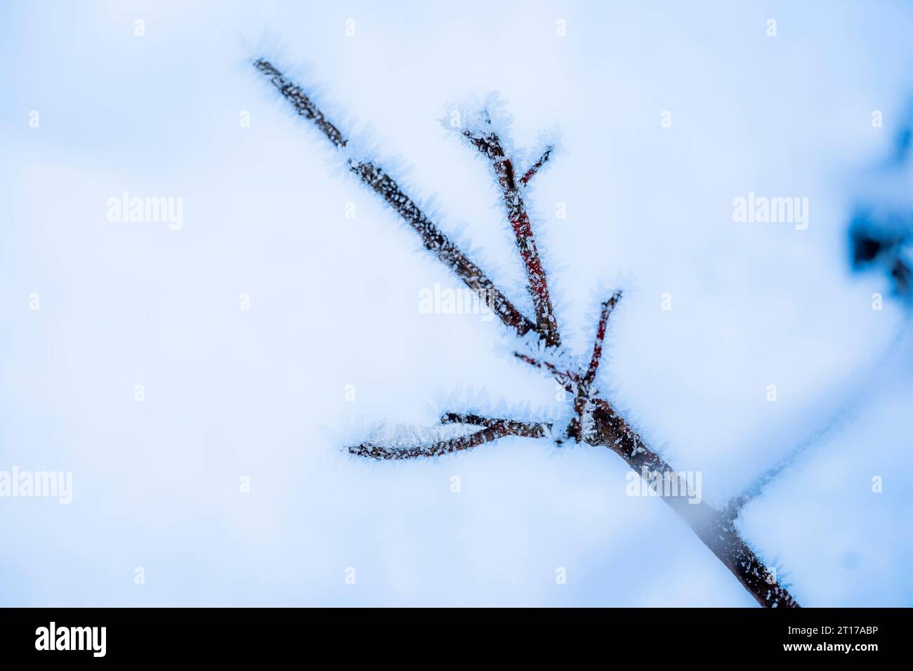 Lake Dobbiaco. Treasure chest among the Dolomites. Winter atmosphere ...