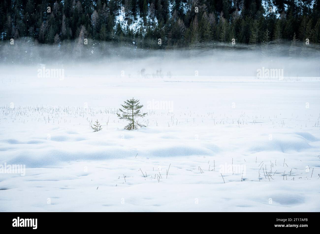 Lake Dobbiaco. Treasure chest among the Dolomites. Winter atmosphere ...