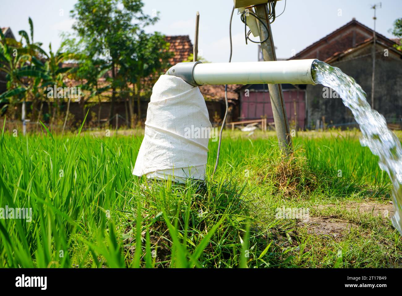 Irrigation of rice fields using pump wells with the technique of ...