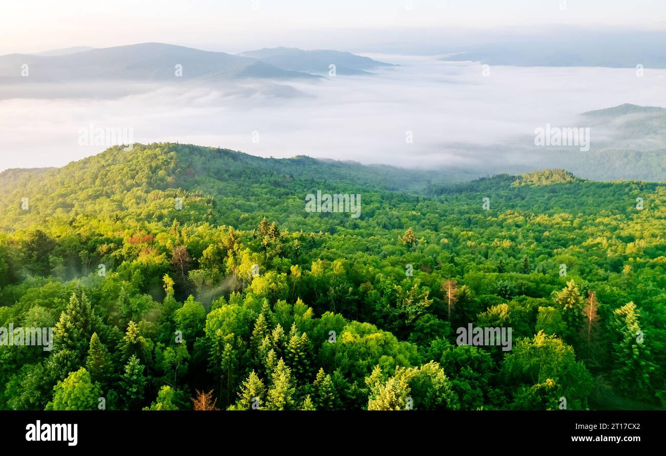 Lesser khingan scenery hi-res stock photography and images - Alamy