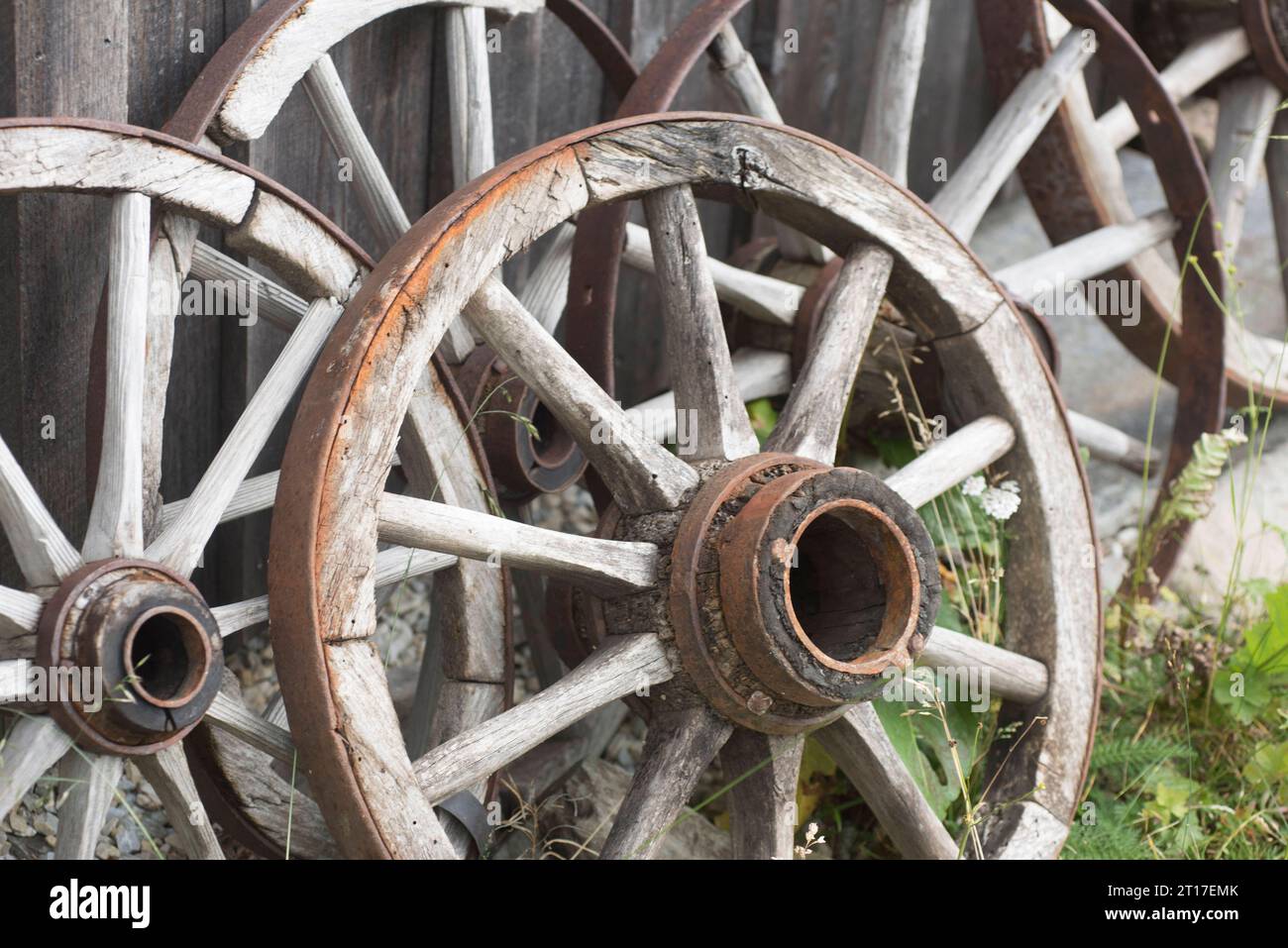 A Wheel, An Early Invention Of Humankind And Important Tool Wheel ...