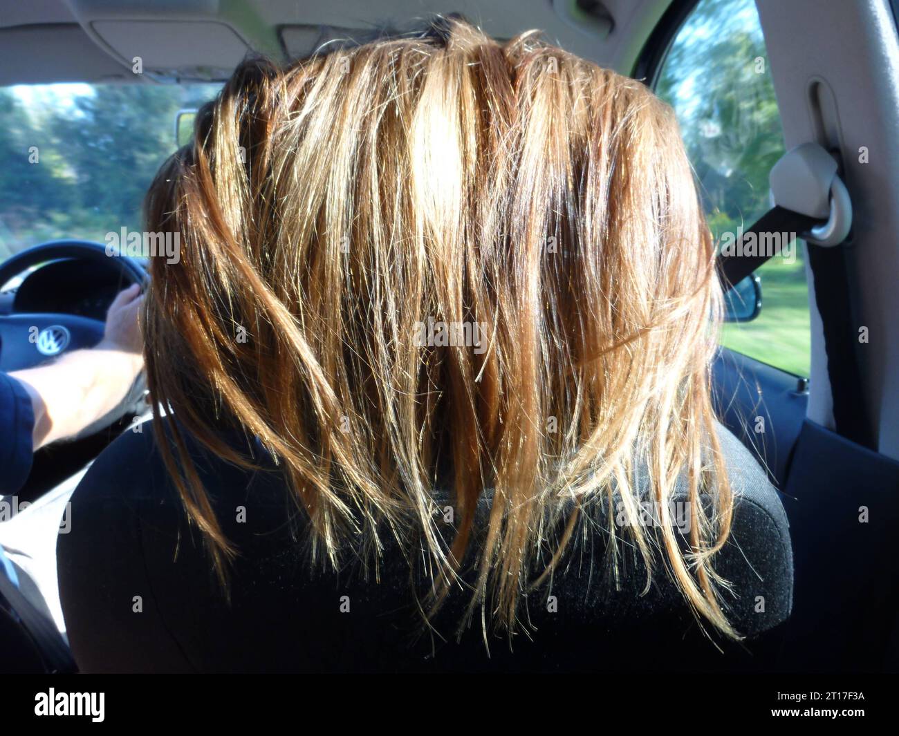 The Hairstyle Of A Human Being, Hairs On The Head Hairstyle Of A Human ...