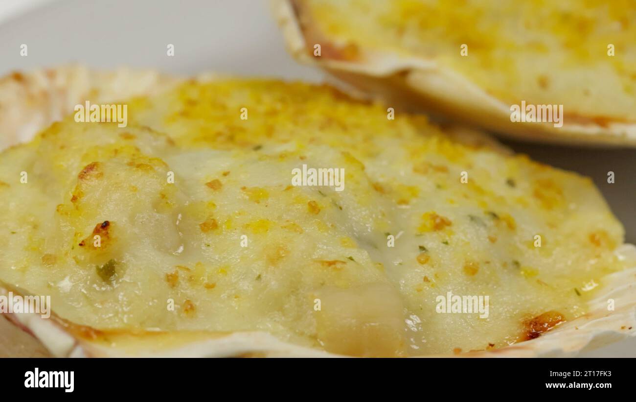 scallop shell close-up Stock Photo - Alamy