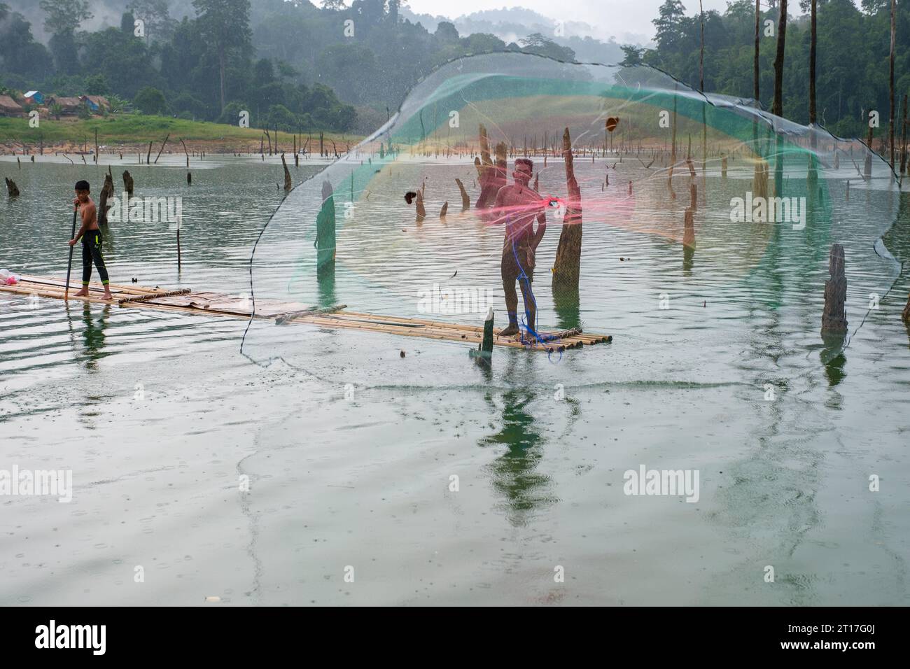 Indigenous fish hi-res stock photography and images - Alamy