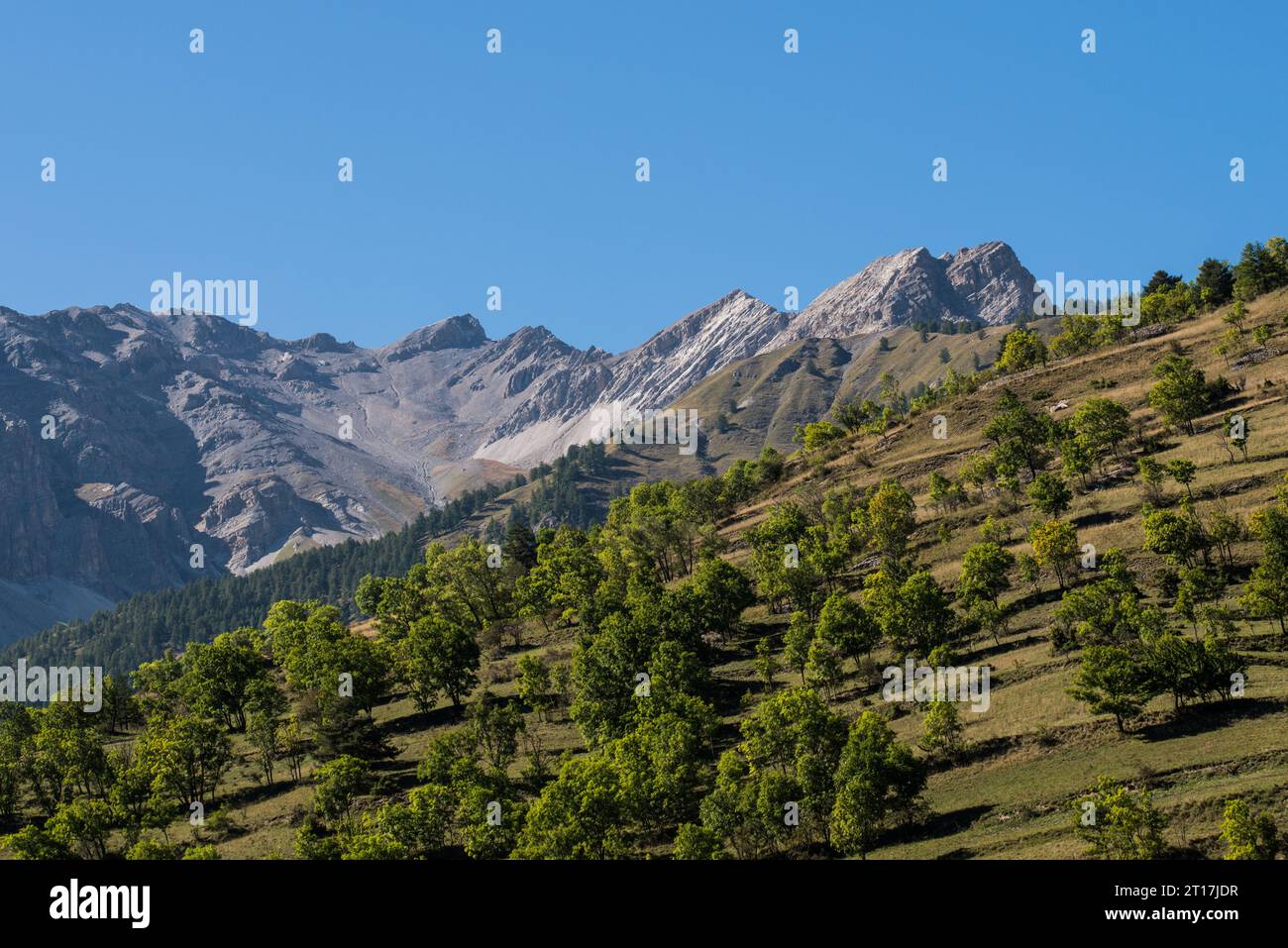 Mont Genevre pass route, italian/french alps Stock Photo - Alamy