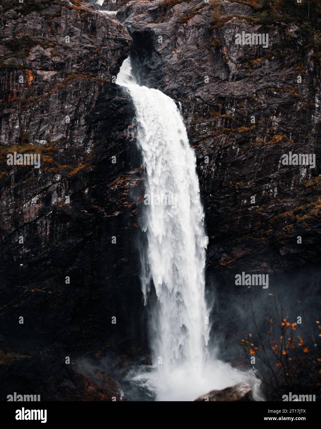 A lush waterfall cascading over a rugged rocky surface, surrounded by ...