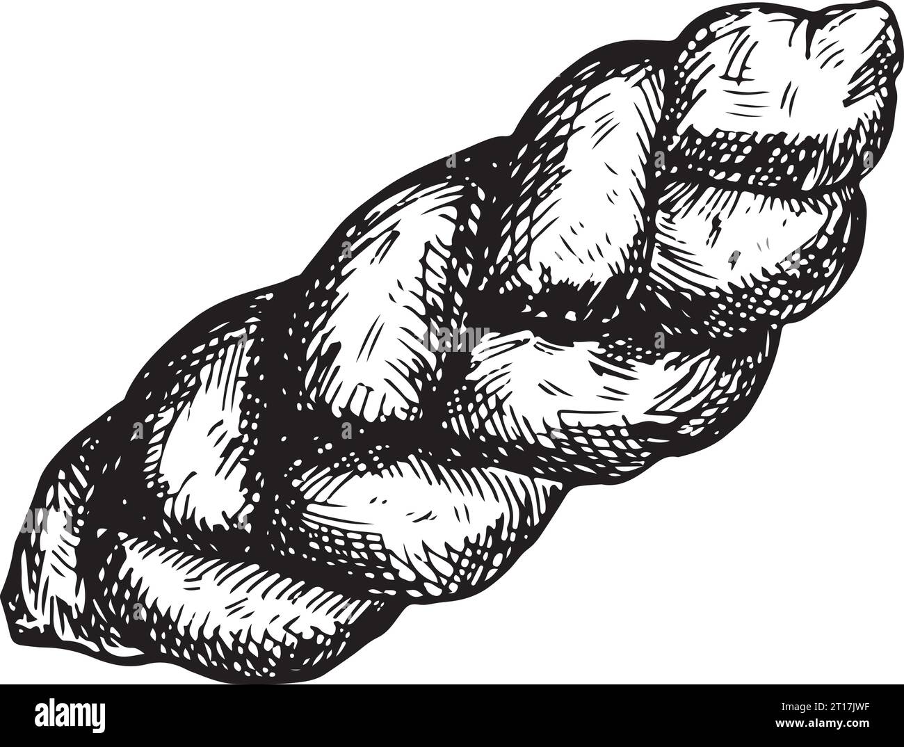 Vector graphic illustration of challah bread . Black and white sketch ...