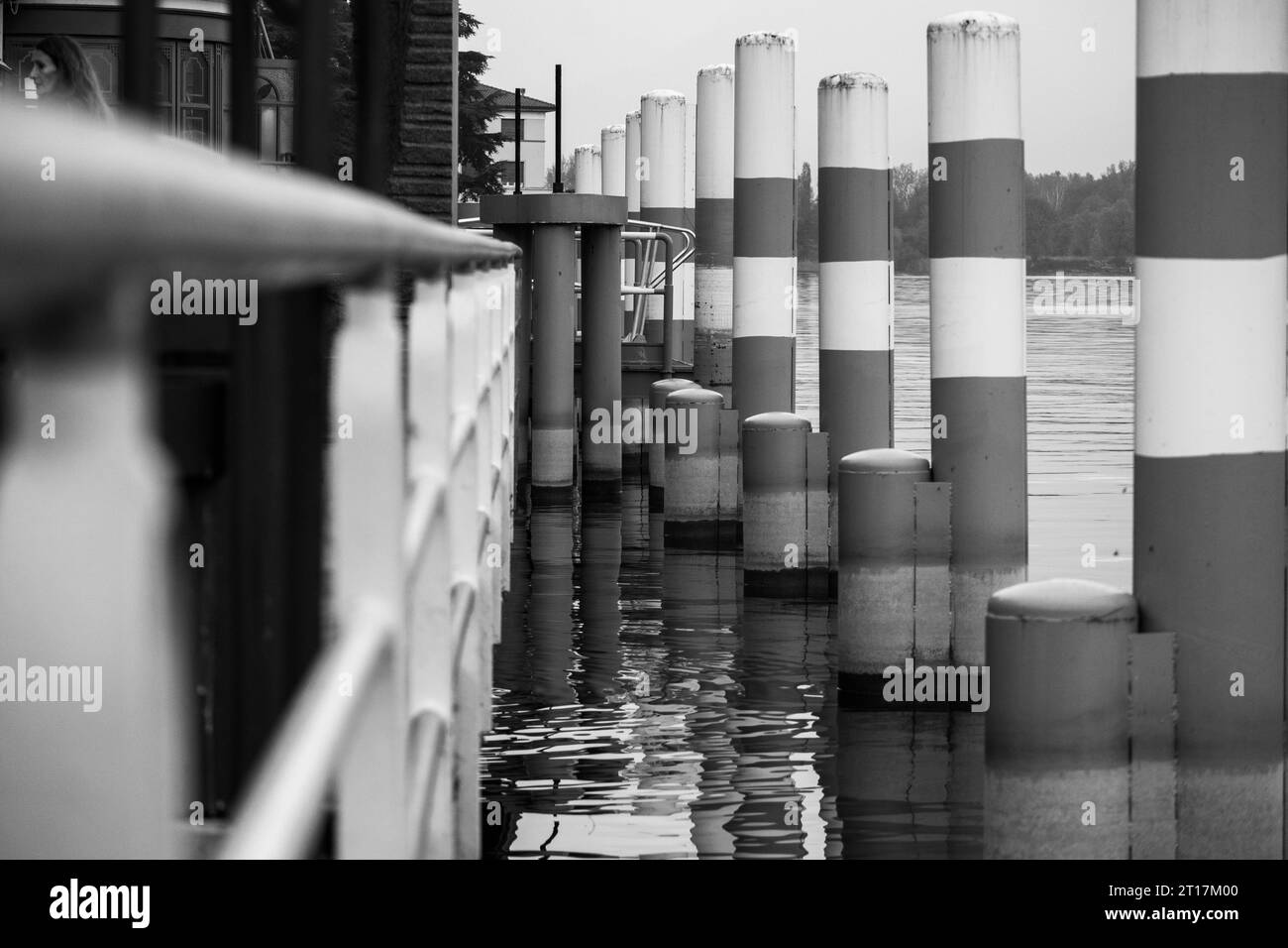 black and white photo of a row of poles in the water next to a fence ...