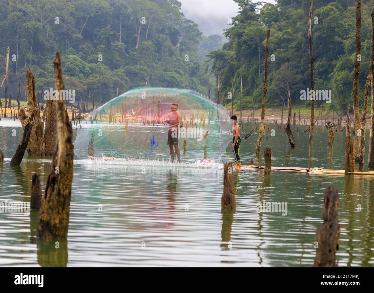 Indigenous people in Royal Belum Perak using net to catch fish Stock ...