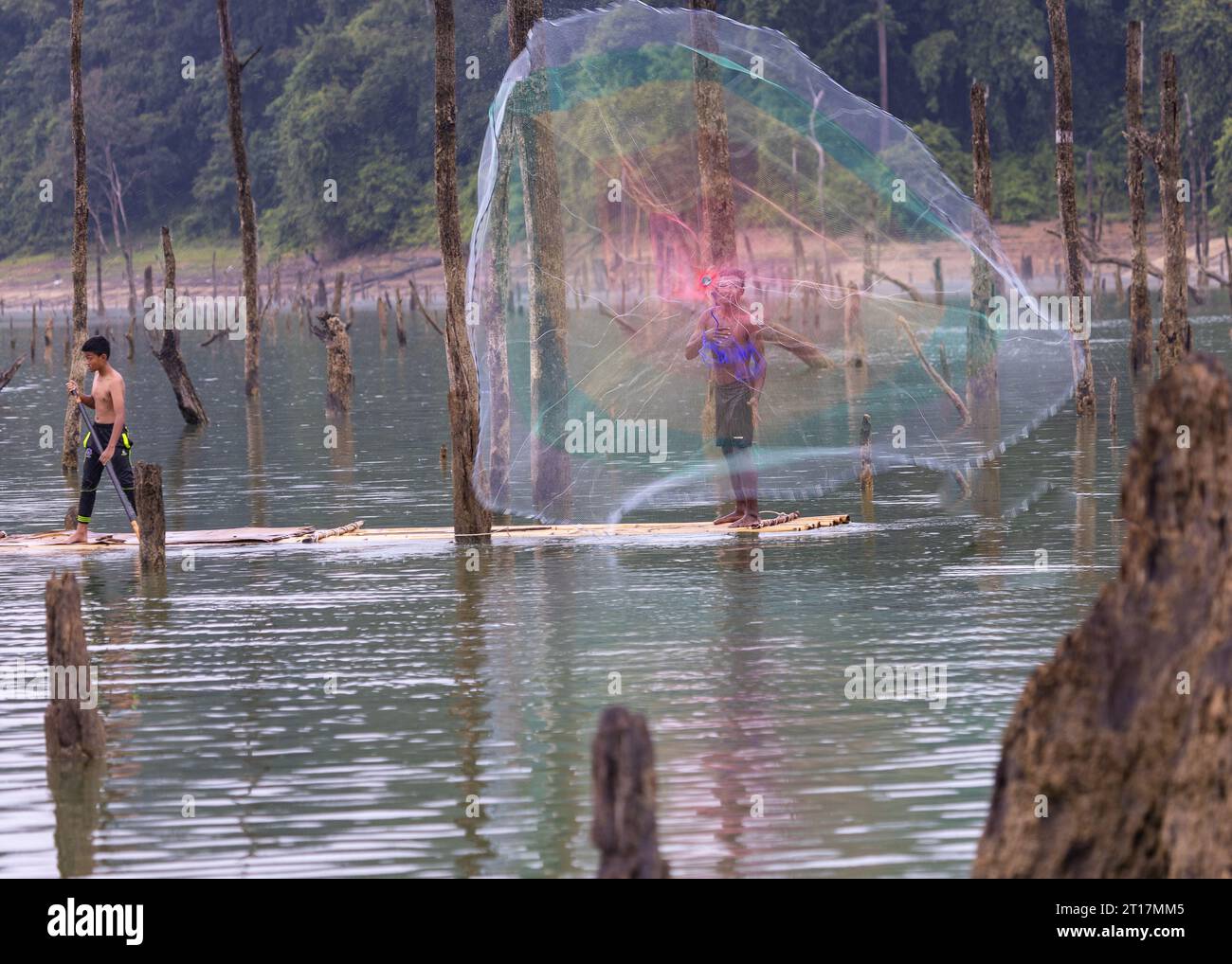 Indigenous people in Royal Belum Perak using net to catch fish Stock ...